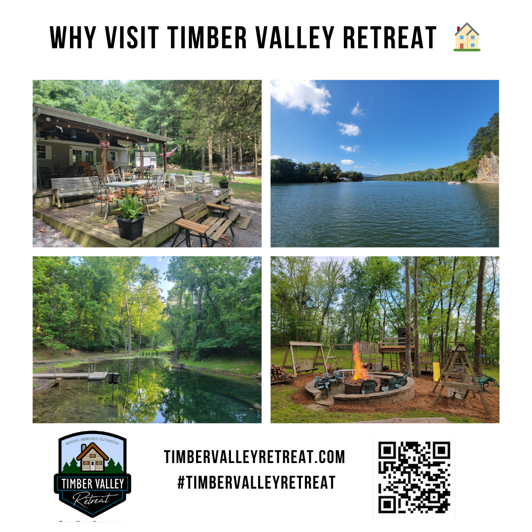 9 Stunning Reasons Why Visit Timber Valley Retreat This Year! 🌲