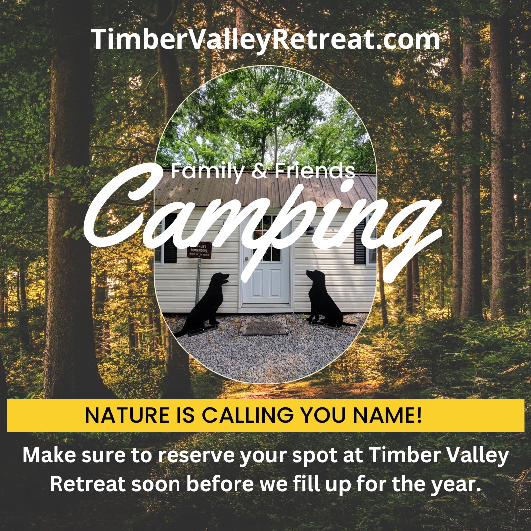 Photo Gallery – Timber Valley Retreat
