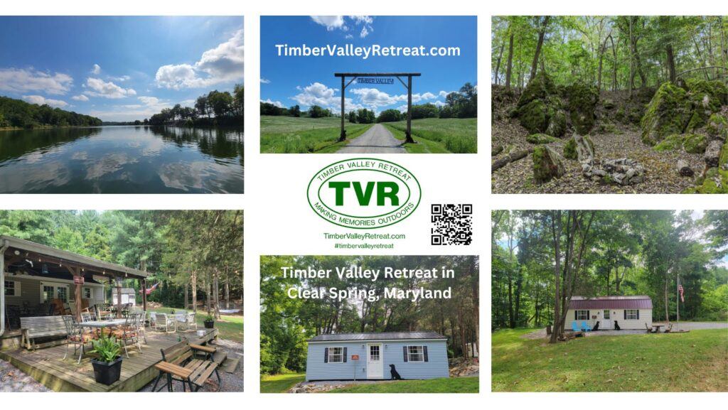 11 Incredible Reasons to Book Camping Cabin Rentals Washington County! 🏠